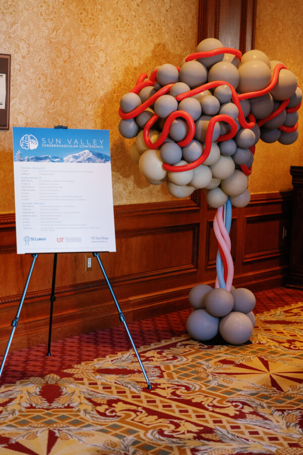 Photo Gallery - Sun Valley Cerebrovascular Conference